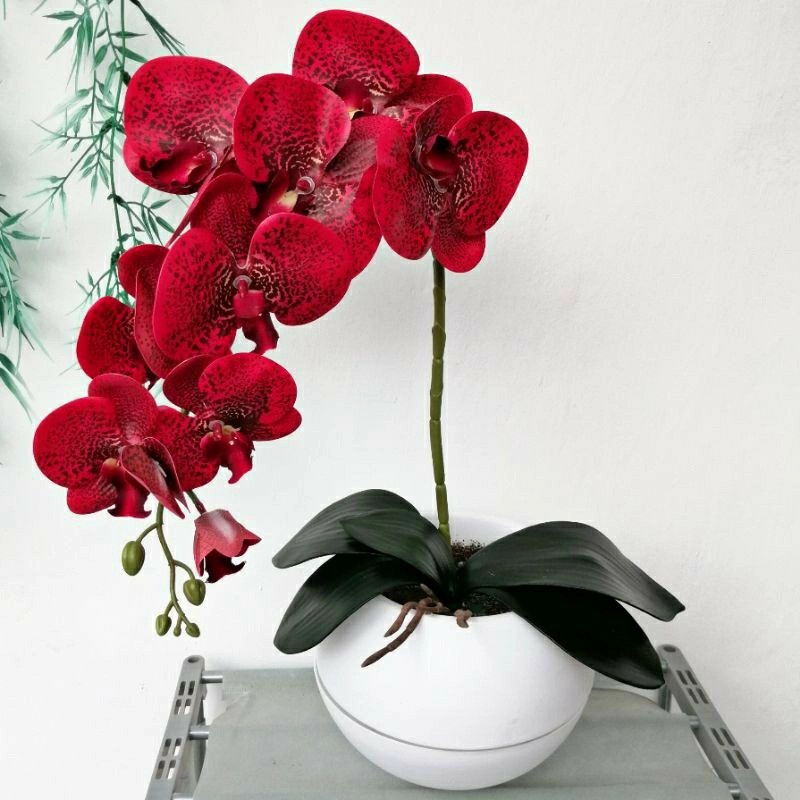 Jual Bunga anggrek latex x 1 + pot bola anggrek artificial palsu ...