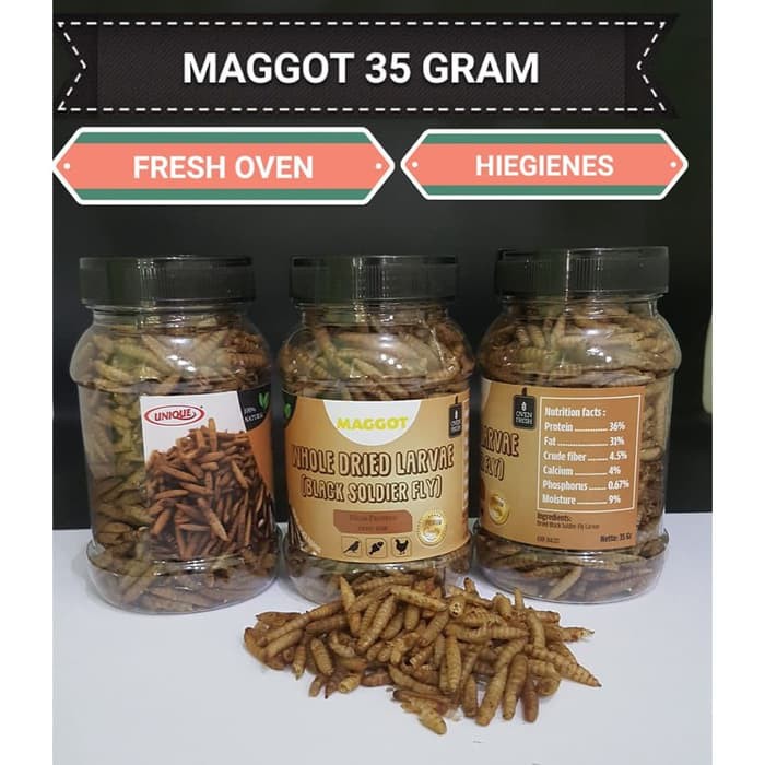 Jual MAGGOT 35 GRAM | Shopee Indonesia