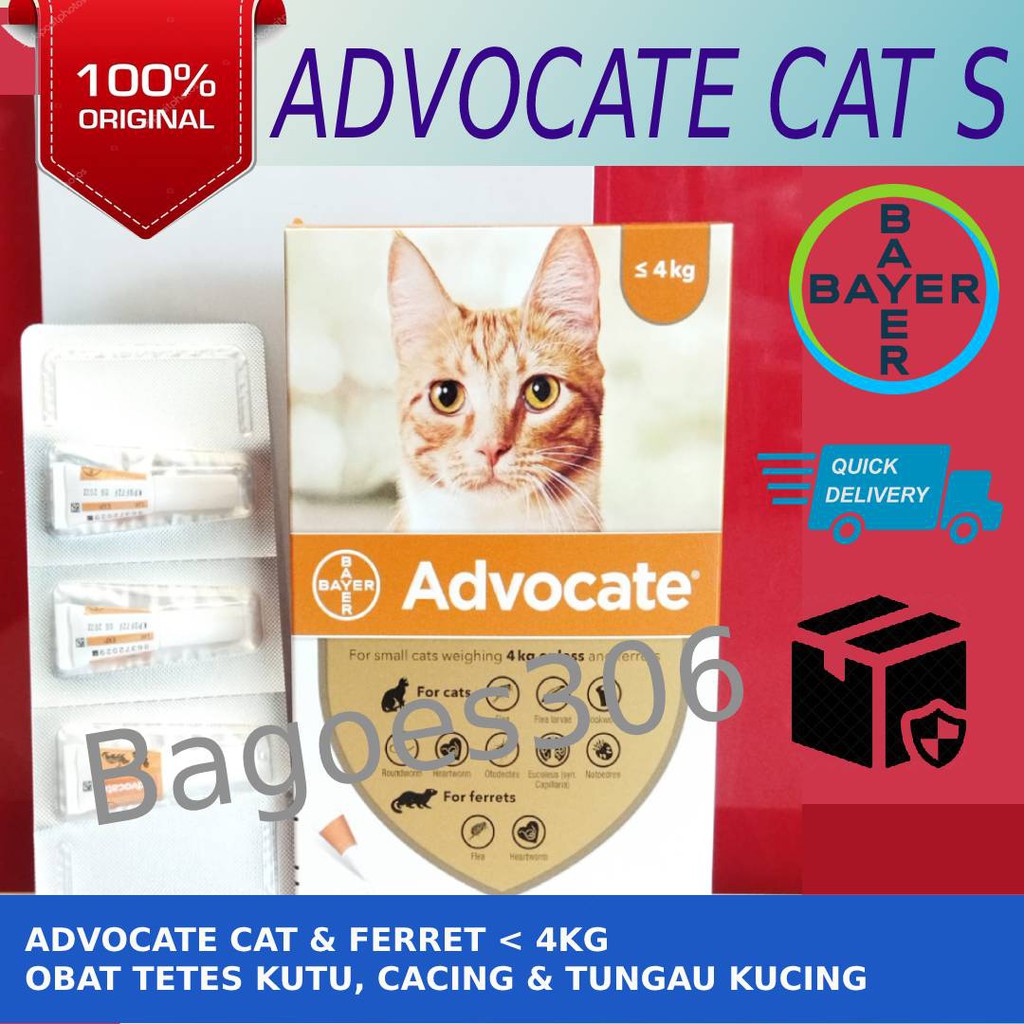Jual Obat Kutu Kucing Advocate|Advocate for Small Cats 0-4kg ~ Advocate ...