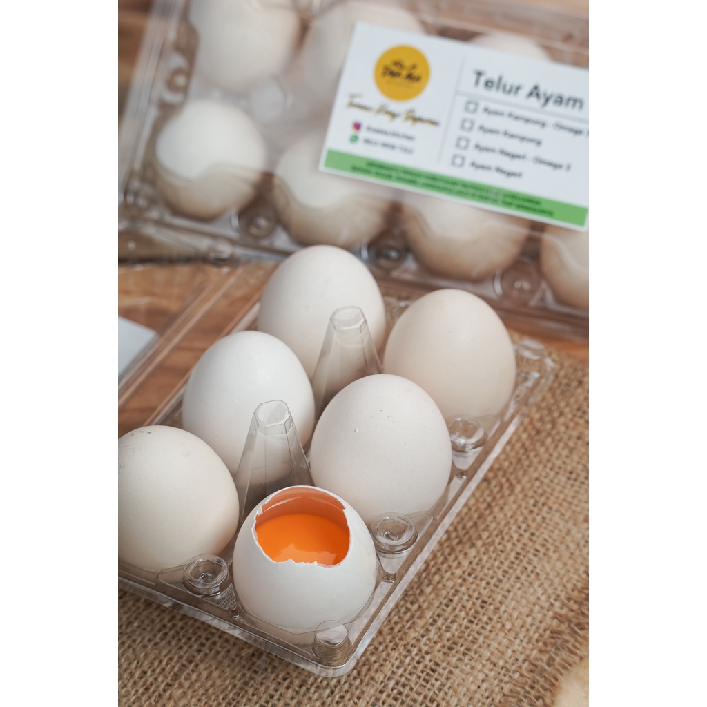 Jual Telur Ayam Kampung Omega 3 Nutrisi Terbaik untuk Kesehatan ...