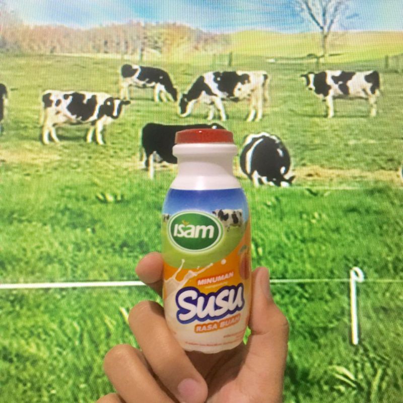 Jual ISAM SUSU RASA JERUK (100% Original) 65ml. | Shopee Indonesia