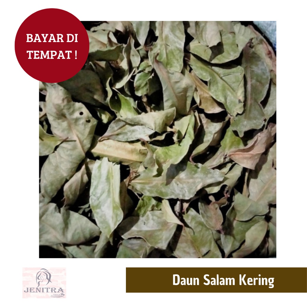 Jual Daun Salam Kering 1 kg - 500 gram (Bisa COD Bayar di Tempat) | Shopee Indonesia