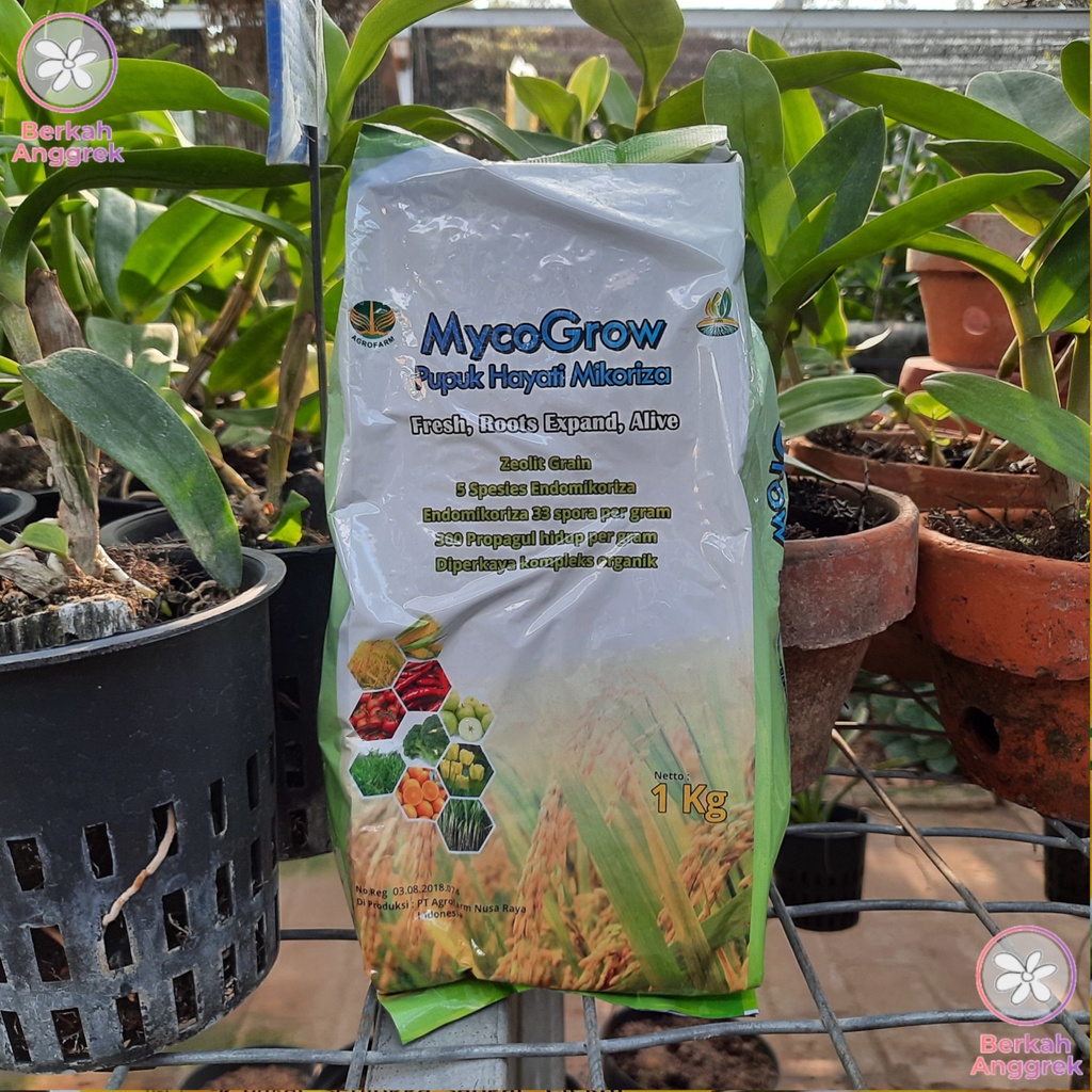 Jual Mycogrow 1 Kg Micogrow 1 Kg Pupuk Akar Hayati Endomikoriza ...