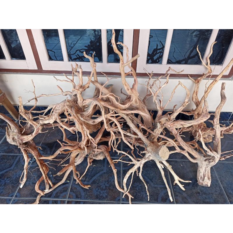 Jual kayu /Akar Rasamala untuk hiasan Aquascape dan aquarium Indonesia ...