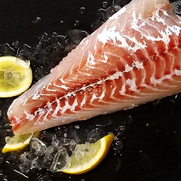 Jual Ikan Kakap Fillet / Snapper Fillet Skin Off | Shopee Indonesia