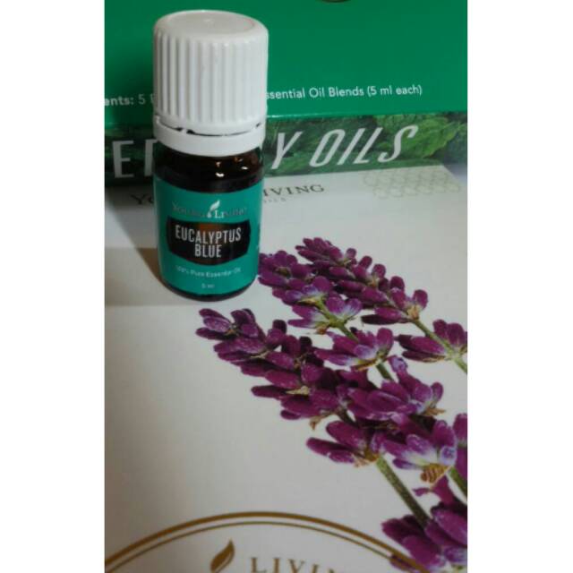 Jual Eucalyptus Blue Young Living Essential Oil Indonesia|Shopee Indonesia