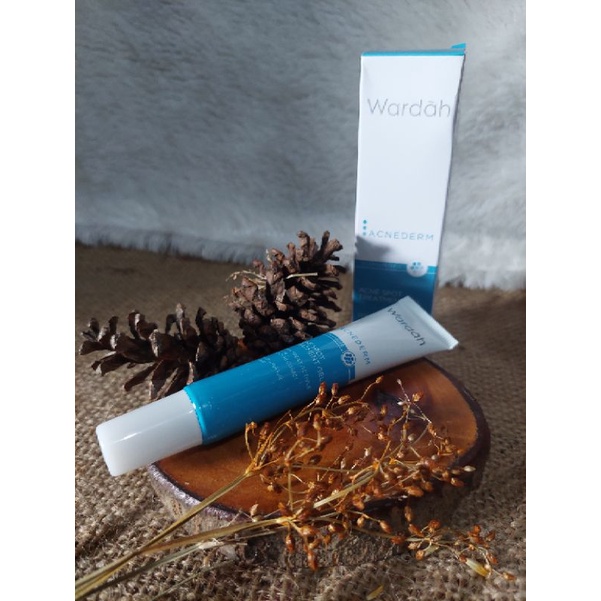 Jual Wardah Acnederm Acne Spot Treatment Gel (15ml) | Shopee Indonesia