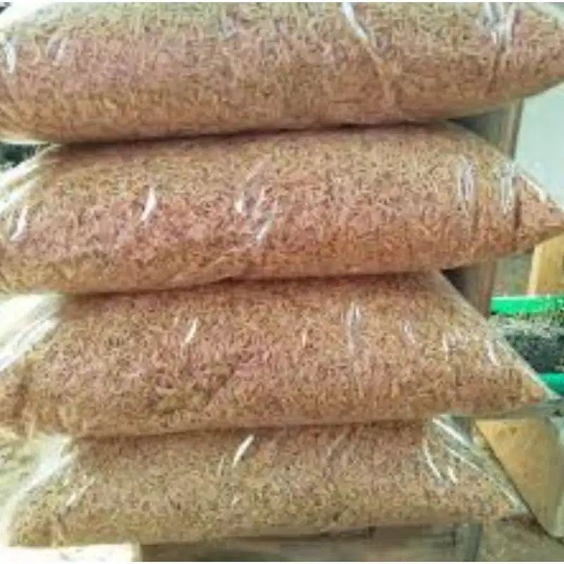 Jual media tanaman abu sekam termurah/500gram | Shopee Indonesia