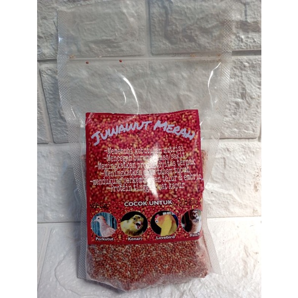 Harga Juwawut Terbaru Februari 2024 |BigGo Indonesia