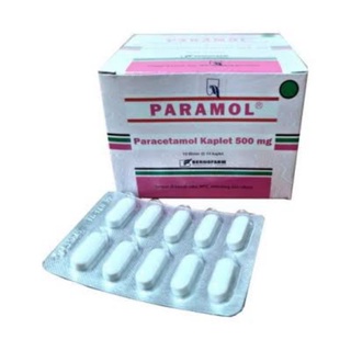 Jual Paracetamol (PARAMOL) | Shopee Indonesia