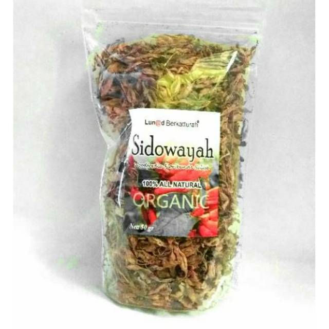 Jual Bunga Sidowayah Kering ( Woodfordia floribunda Salisb ) | Shopee ...