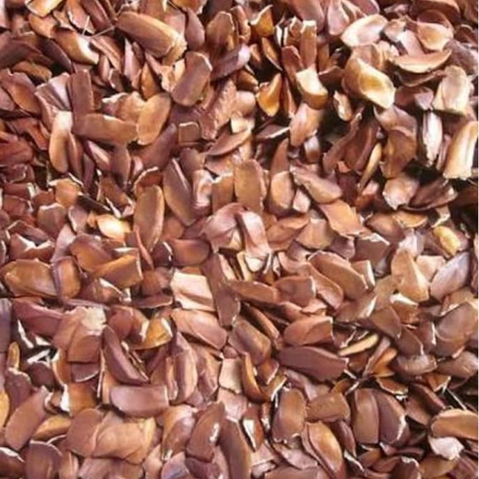 Jual 1 kg Benih Biji Tanaman Pohon Mahoni k4j! | Shopee Indonesia