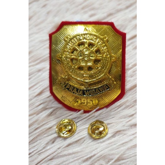 Jual Tanda Kewenangan Pol PP - Pin Satpol PP | Shopee Indonesia