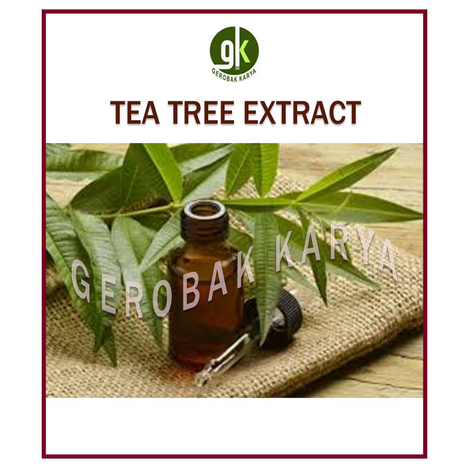 Jual Tea Tree Extract | 30 ml | Shopee Indonesia