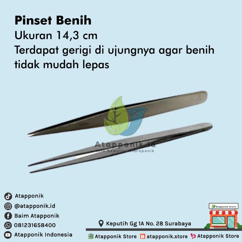 Harga Pinset Tanaman Semai Terbaru Jan 2025 |BigGo Indonesia