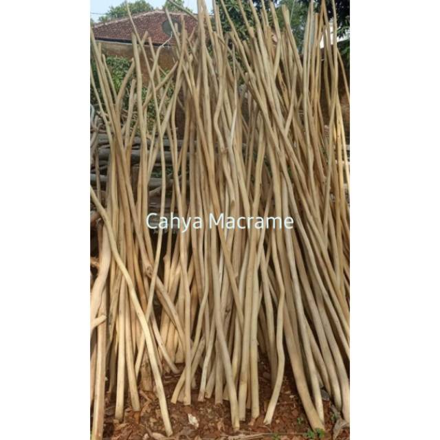 Jual Ranting kayu Jati Kering / Kayu Jati / Stik Macrame | Shopee Indonesia