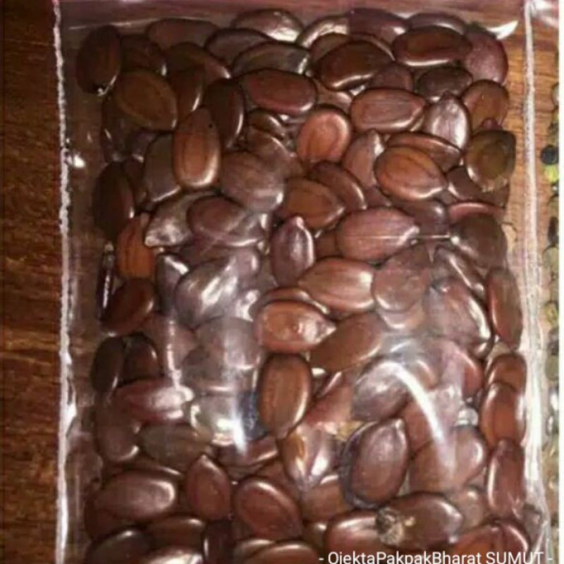 Jual Benih 100 Benih Biji Bibit Lamtoro Pete Cina (Leucaena ...