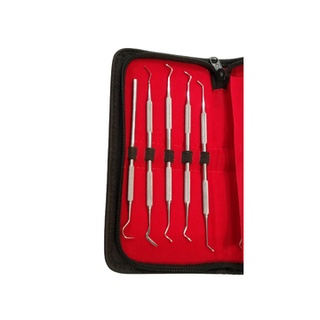 Jual Dental Instrument Kit Compact Set Isi 10 Diagnostic Set Stainless ...