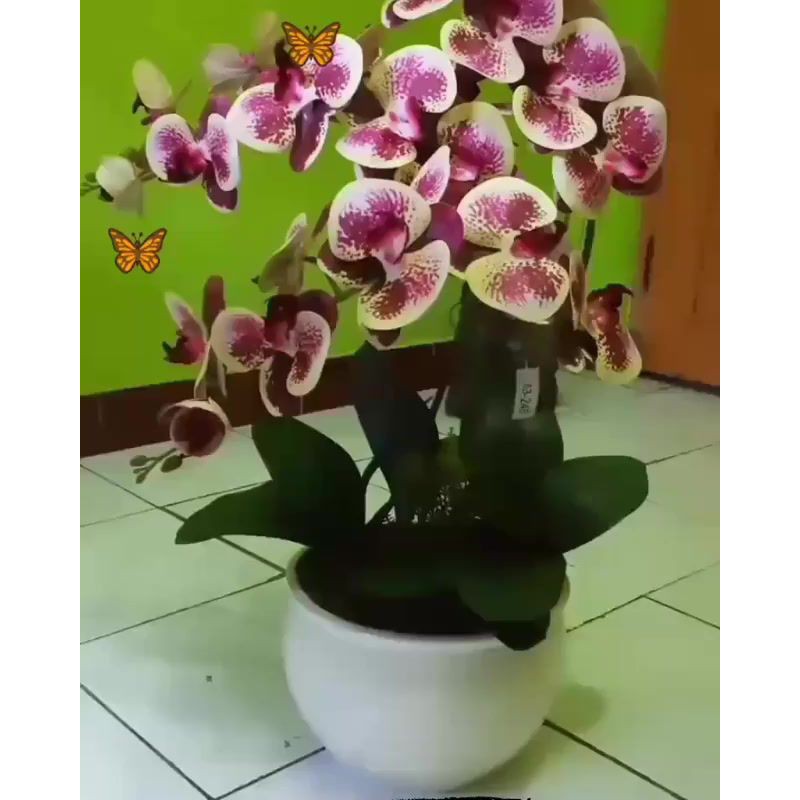 Jual RANGKAIAN BUNGA ANGGREK LATEX 3 TNGKAI DENGAN VAS KERAMIK | Shopee ...