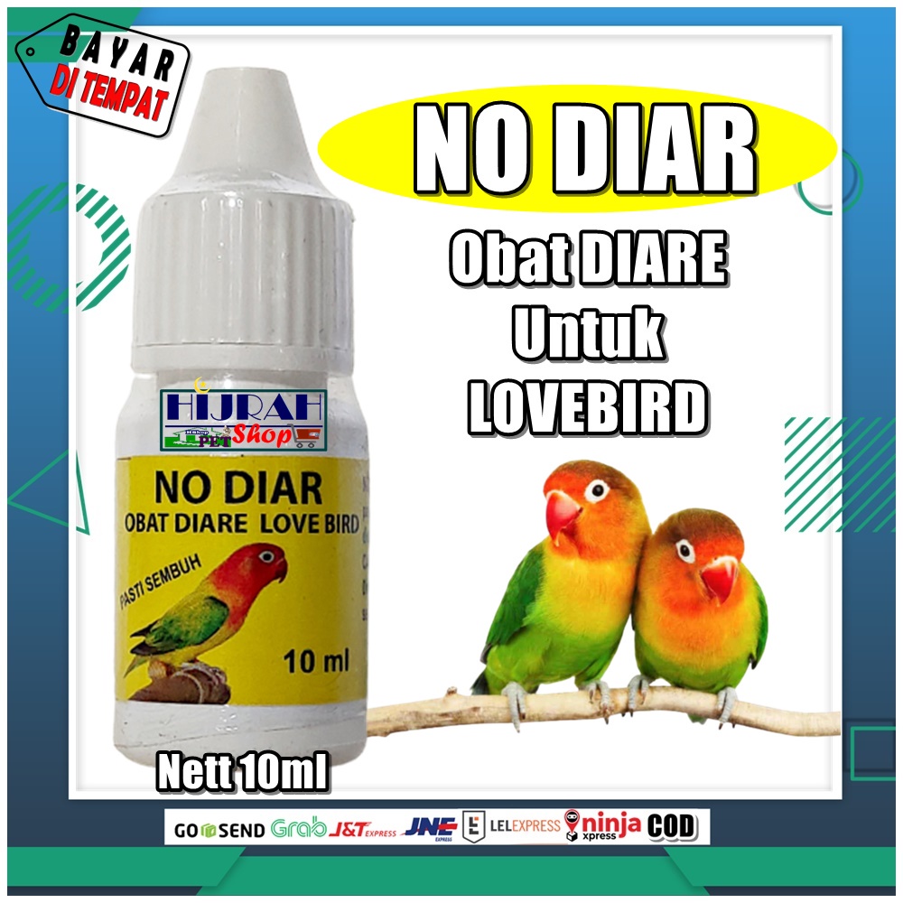 Jual Obat Burung Obat Diare Obat Burung Mencret Untuk Love Bird Pasti ... Jual Obat Burung Obat Diare Obat Burung Mencret Untuk Love Bird Pasti ...
