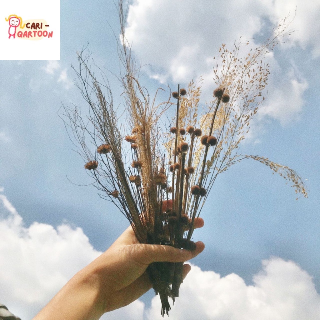 Jual Bunga Kering - bunga kering aesthetic, bunga, dried flower, dried ...