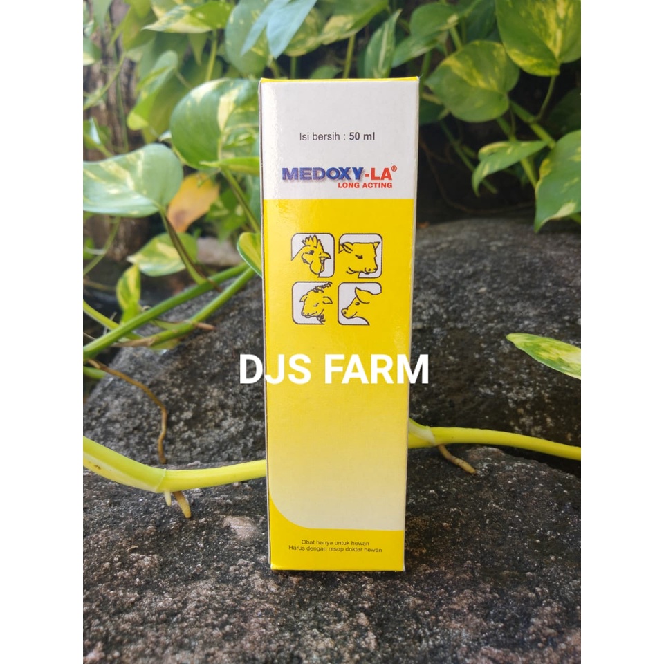 Jual Medoxy LA 50 ml Medion Antibiotik Long Acting Pernafasan CRD ...