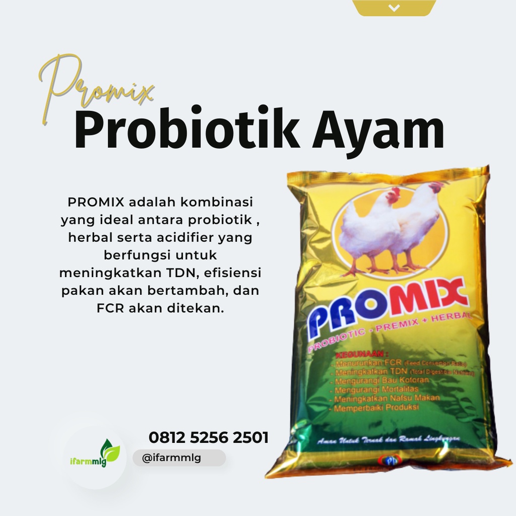 Jual PROMIX - Probiotik Powder Pakan Ayam Kemasan 1Kg - Untuk Absorsi ...