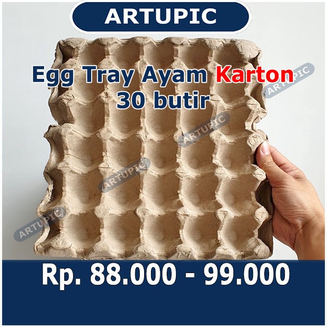Egg Tray Ayam KARTON Kertas kardus rak Tempat Telur Telor ayam bebek 70 ...