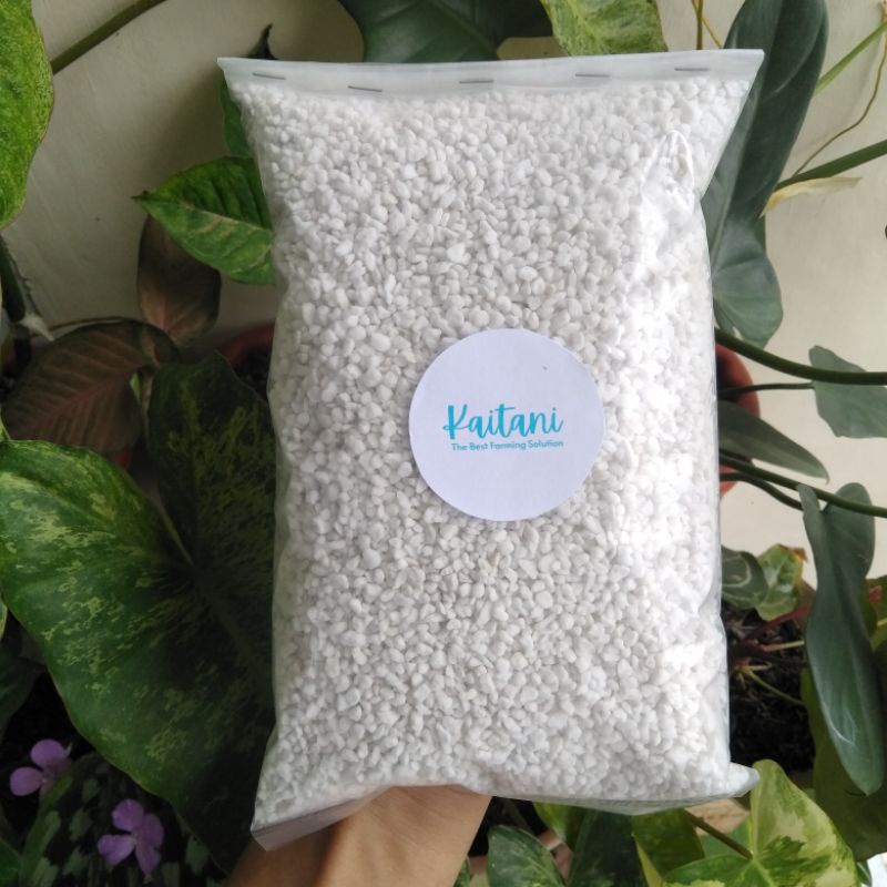 Jual Perlite Media Tanam Premium dan Media Tetas Reptil 1 Liter ukuran 3-8mm | Shopee Indonesia