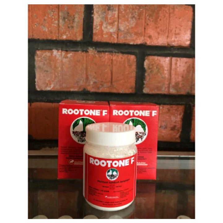 Jual Rootone F Hormon Untuk pertumbuhan Akar Tanaman Mengandung ...
