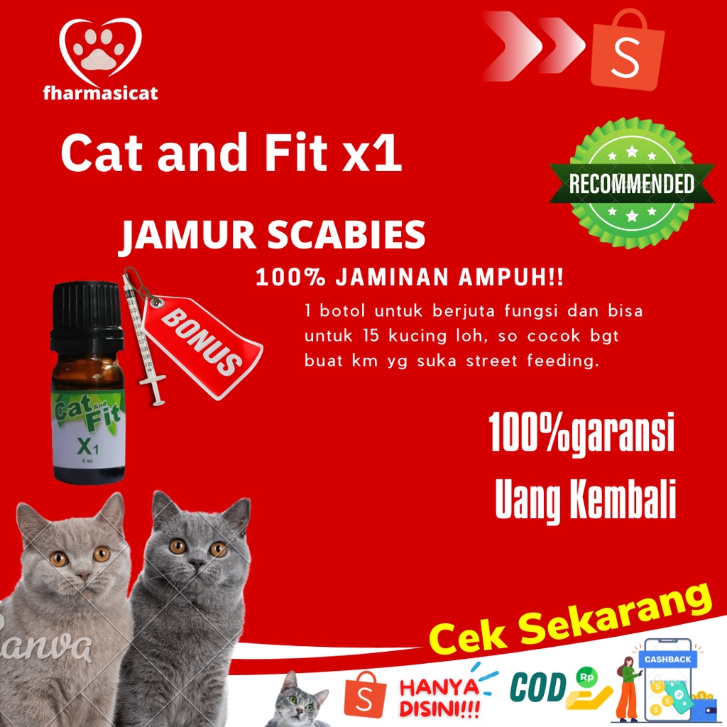 Jual Obat jamur Kucing & Scabies kucing paling ampuh CAT and FIT X1 ...