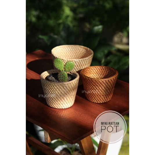 Jual Cover Pot/Mini Rattan Pot/Vase Rotan/Pot Tanaman/Vase Tanaman ...