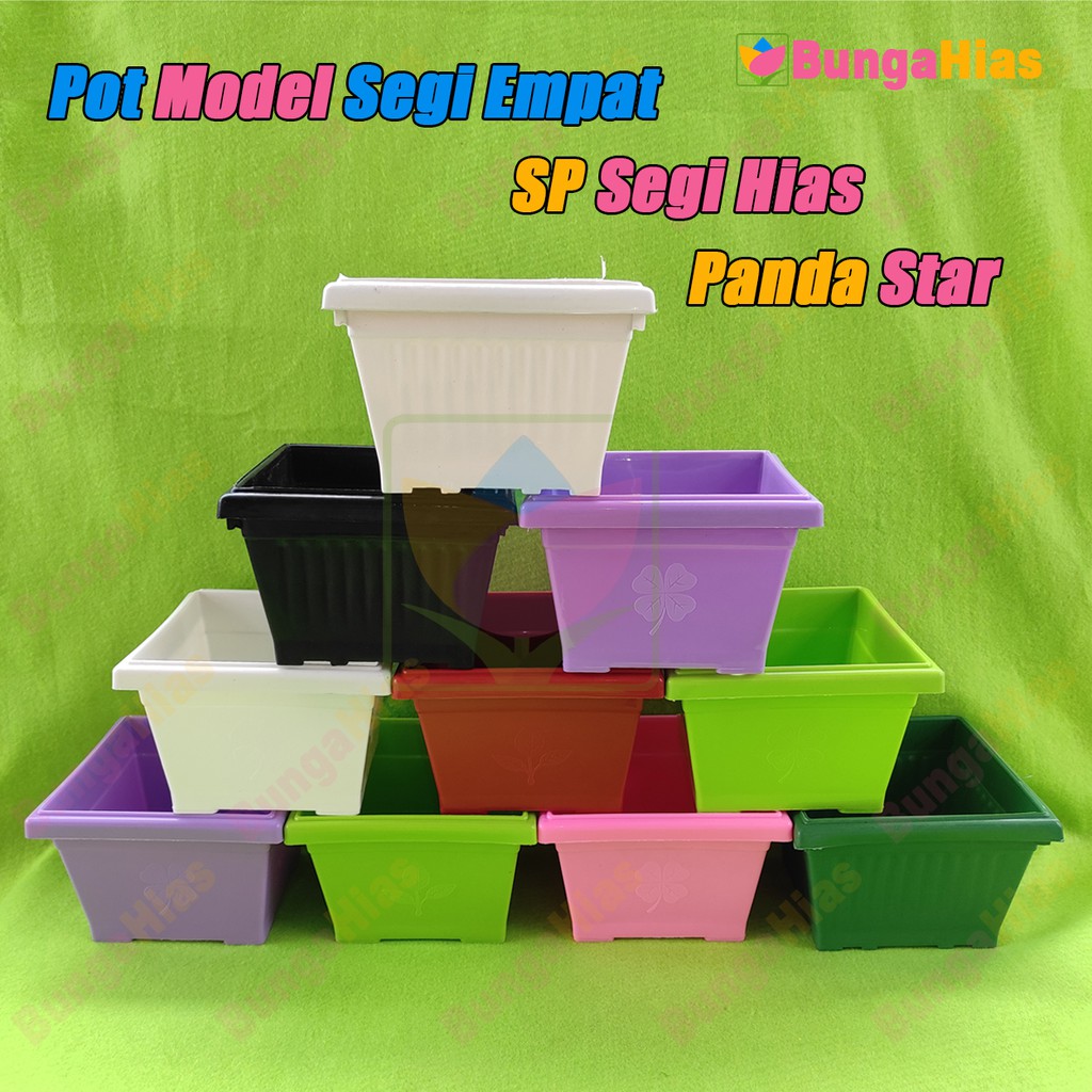 Jual Pot Kotak 15 Cm SP Segi Tanaman Hias dan Bunga Indonesia|Shopee ...