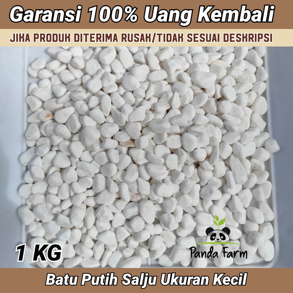Jual Batu Alam Koral Tabur Kerikil Hias Putih Salju Uk Kecil - 1 Kg ...