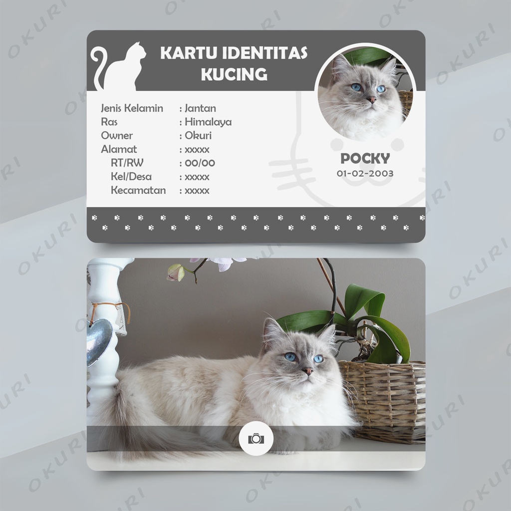 Jual Kartu Identitas Kucing CUSTOM - ID Card Kucing PVC Tebal | Shopee ...