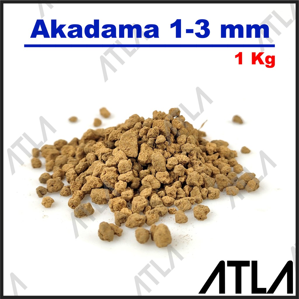 Jual Akadama Soil 1-3 mm 1 kg Media Tanam Tanaman Sukulen Bonsai Kaktus ...