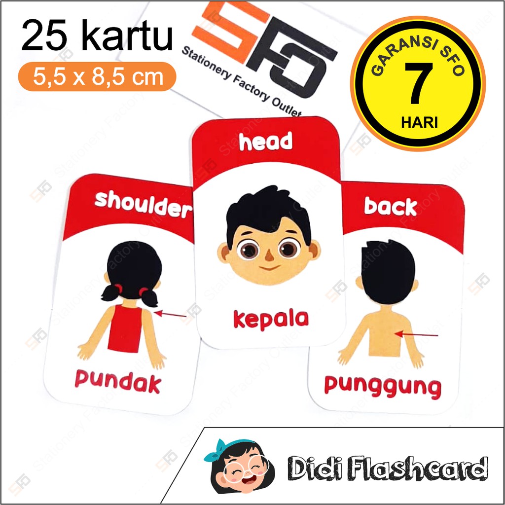 Jual Flash Card Anggota Tubuh - Kartu Pintar Anak Flashcard | Shopee ...