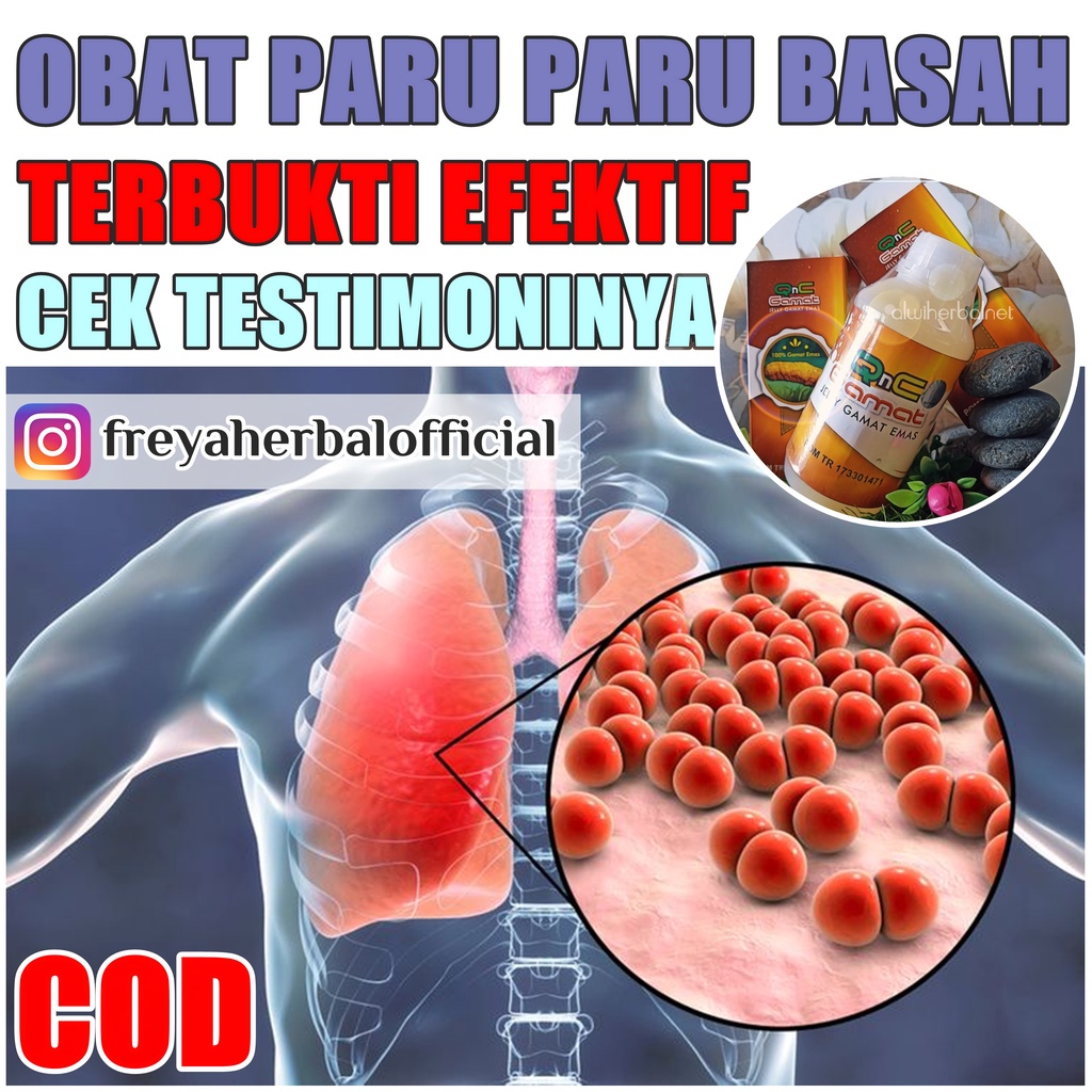 Jual OBAT PARU PARU BASAH, OBAT PNEUMONIA, OBAT HERBAL CAIRAN DI PARU ...