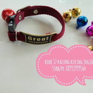 Jual Kalung kucing + name tag kucing anjing | Shopee Indonesia