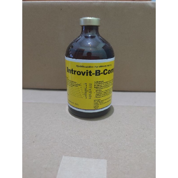 Harga Introvit-B-Complex Terbaru Jun 2025 | BigGo Indonesia