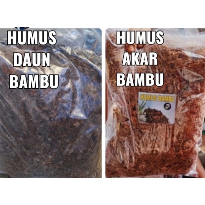 Jual Humus bambu media tanam daun bambu, kompos organik | Shopee Indonesia