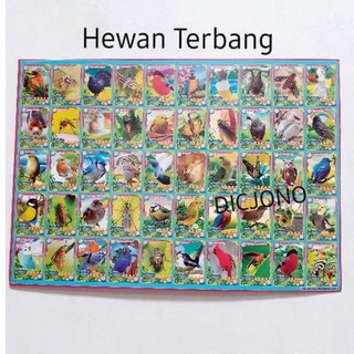 Jual Poster Edukasi Macam2 Hewan / Mainan Gambaran 50 Jenis Binatang ...