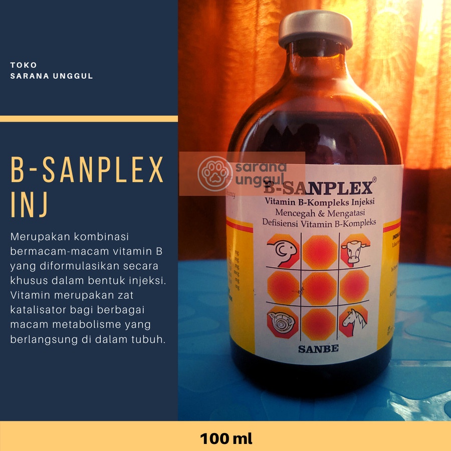 Jual B-SANPLEX 50 ml & 100 ml Injeksi Vitamin B-Kompleks Untuk Hewan ...