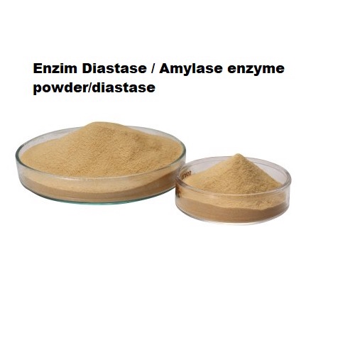 Jual Enzim Diastase 100 gram / Amylase enzyme powder/diastase 100 gram ...