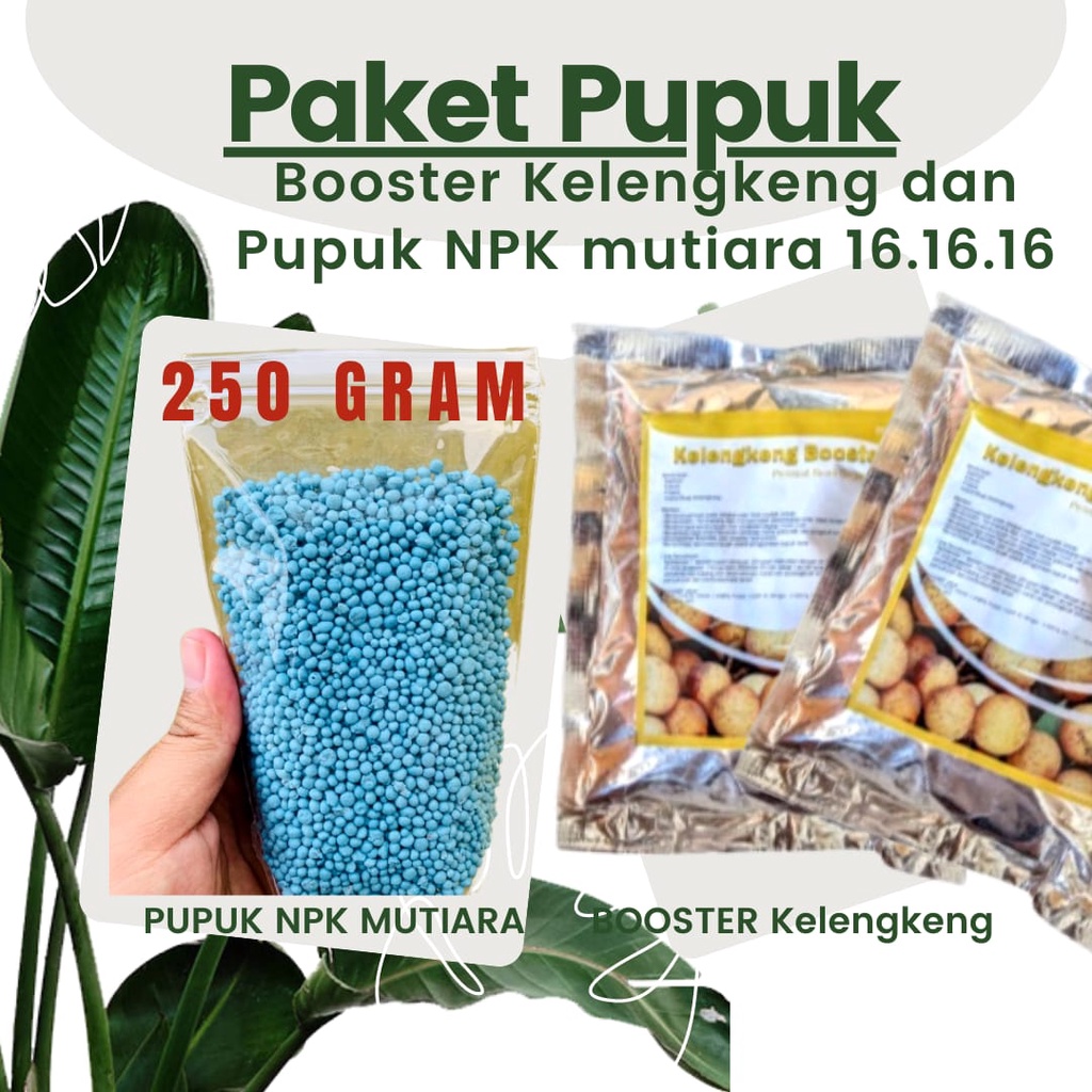 Jual PAKET LENGKAP Pupuk Booster Pelebat Buah Pohon Kelengkeng Plus Pupuk NPK Mutiara 16.16.16 ...