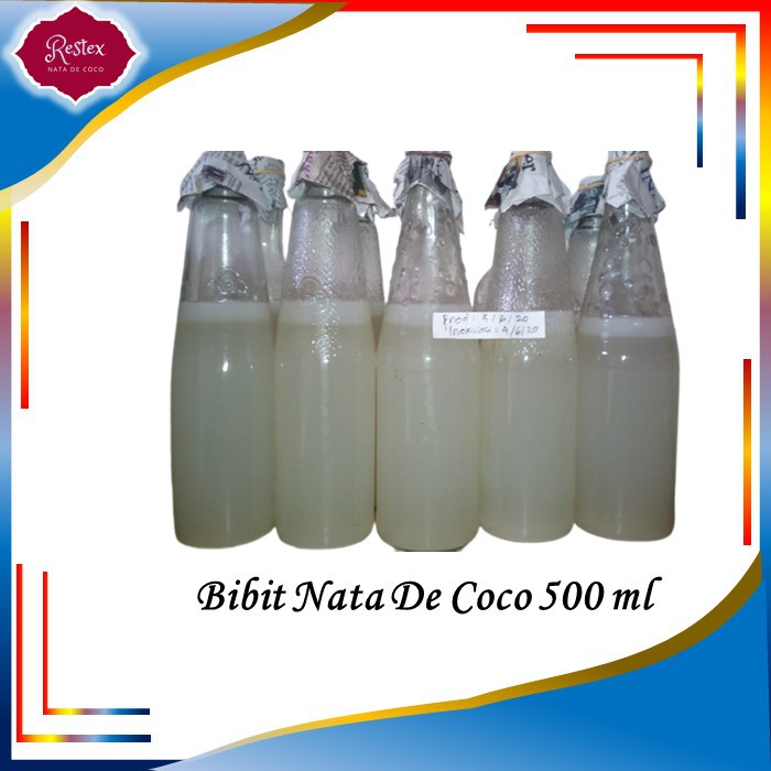 Jual BIBIT NATA DE COCO-STARTER NATA-BAKTERI ACETOBACTER XYLINUM-BIANG SARI KELAPA-BAKTERI NATA ...