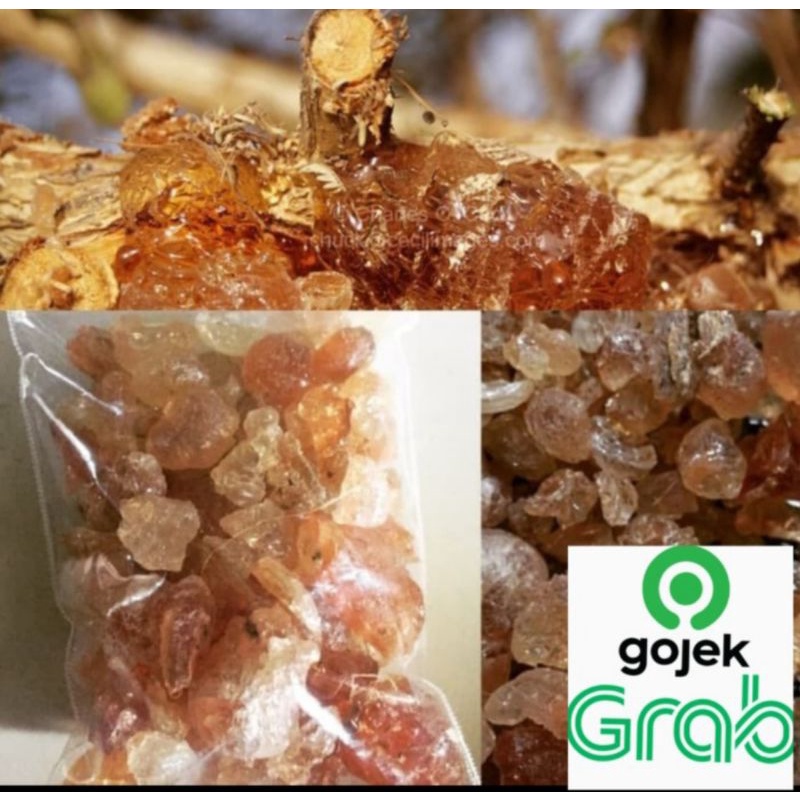 Jual Gum arabic | Shopee Indonesia