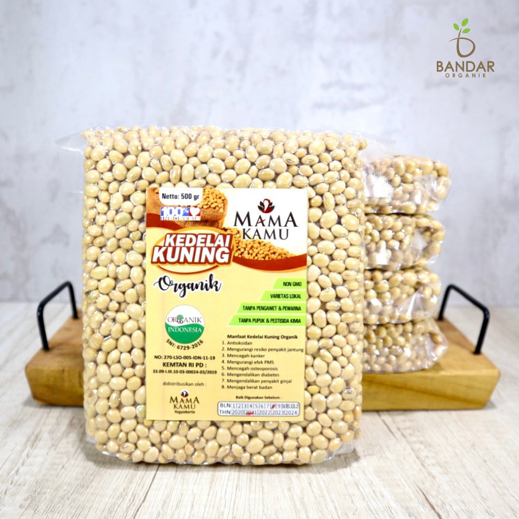 Jual Kedelai Kuning Organik 500gr / Yellow Soybeans - Mama Kamu ...