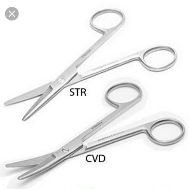 Jual Gunting Mayo 17 cm Lurus Atau Bengkok | Shopee Indonesia