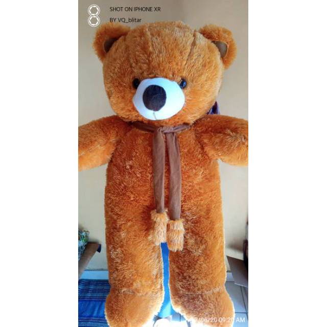 Jual Boneka teddy bear jumbo / boneka beruang syal telapak coklat bule ... Jual Boneka teddy bear jumbo / boneka beruang syal telapak coklat bule ...